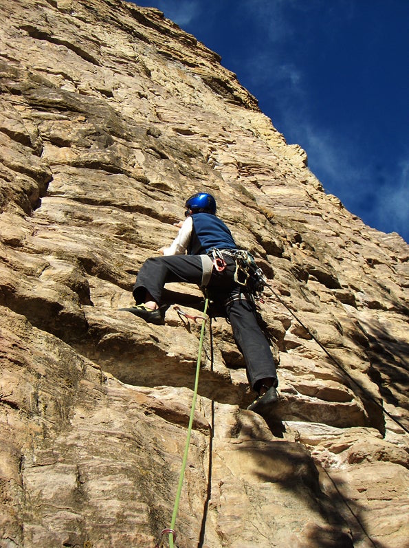 The Horse and Pony Show - Climbing