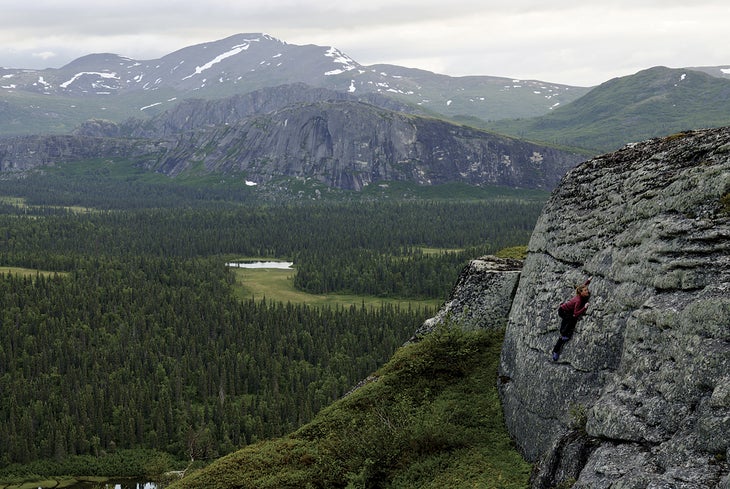 Respect Your Alders - Climbing