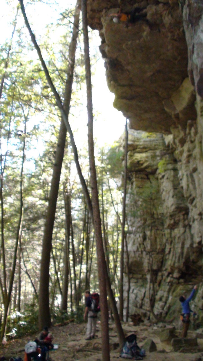 Erica Lineberry - Reader Blog 8 - Climbing