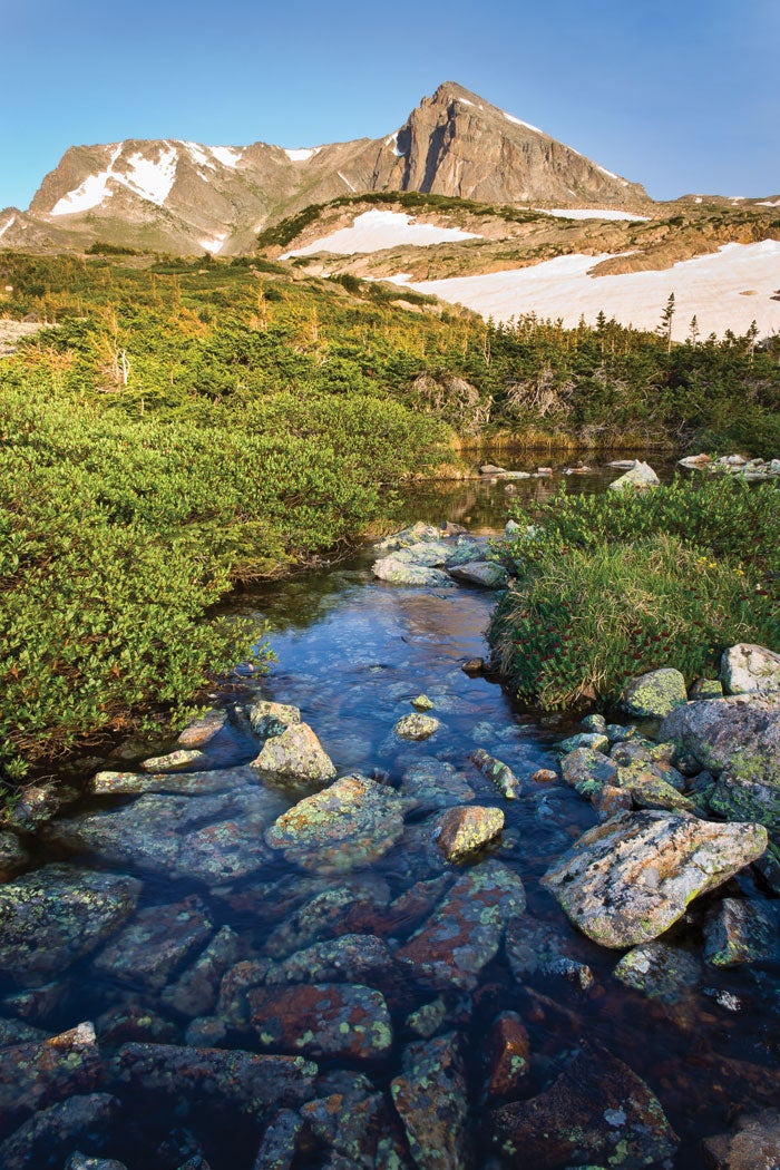 Mt. Alice; Denver, CO - Climbing