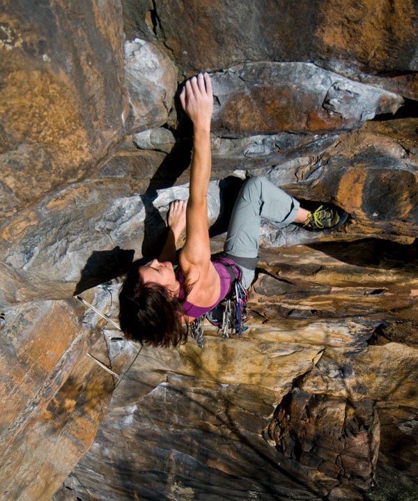 Appealing Ceilings - Climbing