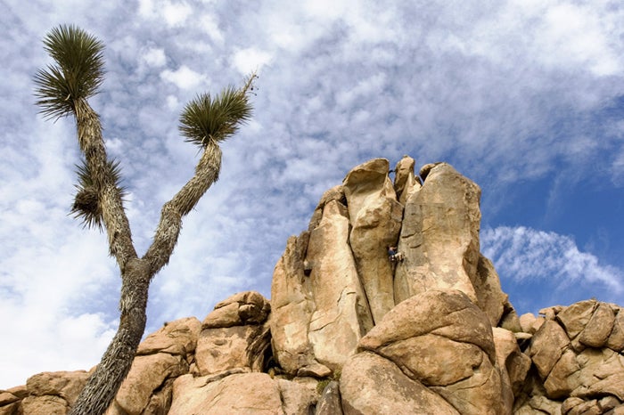 Marshall Burke Photography - Climbing