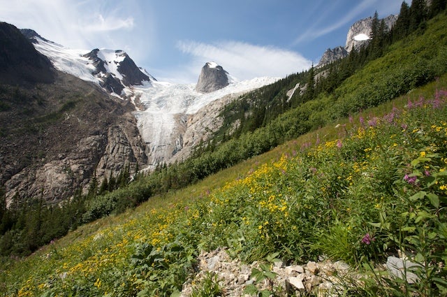 The Bugaboo Experience - Photo Gallery - Climbing