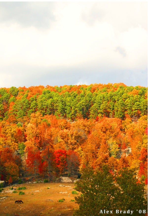 The Special Sandstone in Arkansas - Climbing