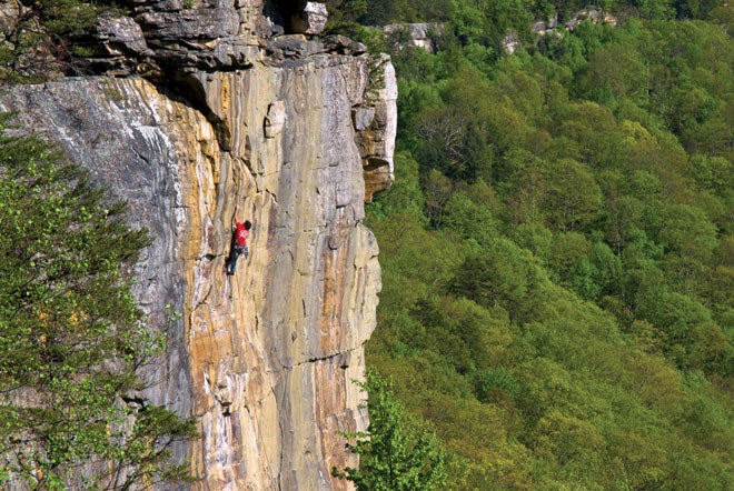 Hand-Picked - Climbing