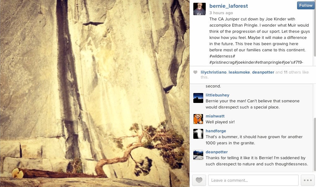 Joe Kinder Reflects on Aftermath of Controversial Tree-Cutting Incident ...