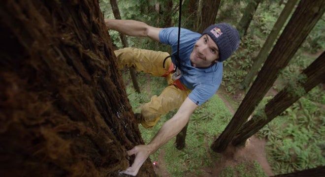 Video: Chris Sharma Free Climbs Giant Redwood Tree - Climbing