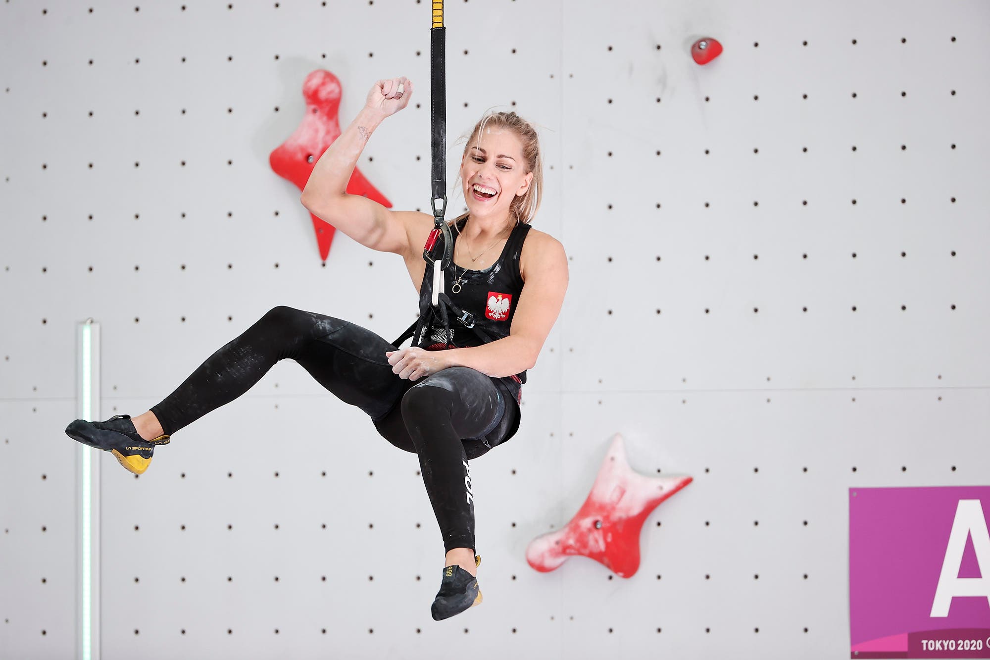 What the Hell is Speed Climbing?