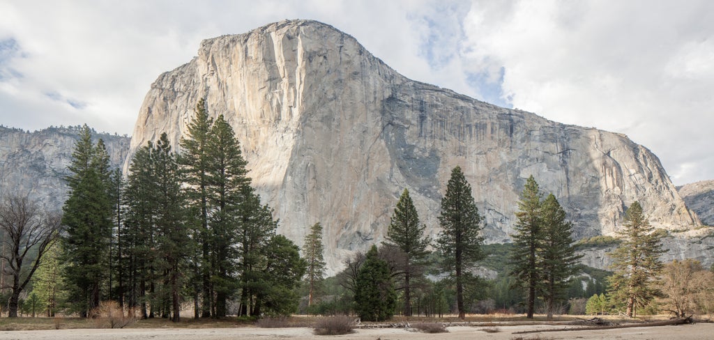 In Depth: The Evolution of the Nose Speed Record