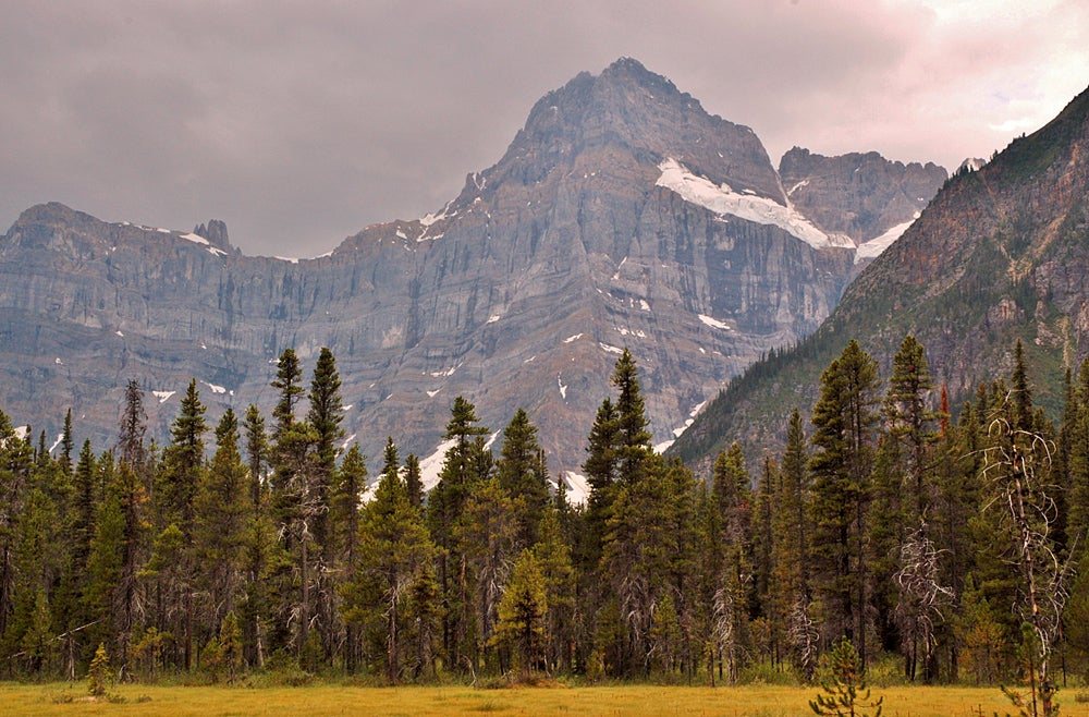 Tragedy on Howse Peak: David Lama, Jess Roskelley, and Hansjörg Auer ...