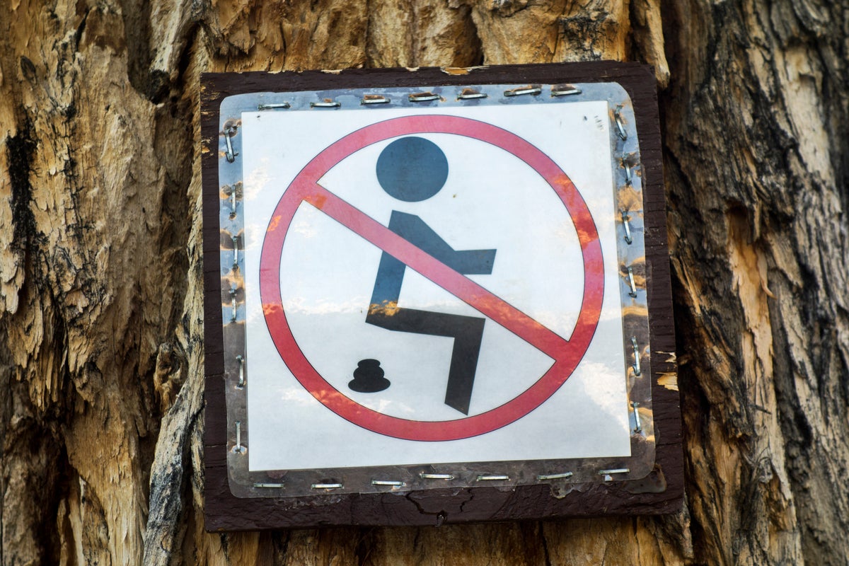 New Best Practices For Pooping in the Woods - Climbing