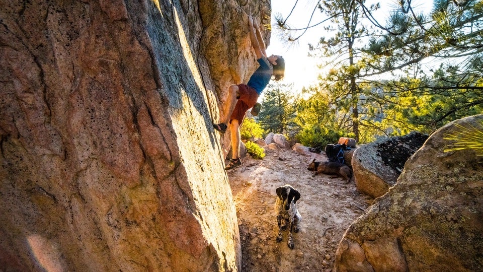 Five Gear Essentials For Crag Dogs - Climbing