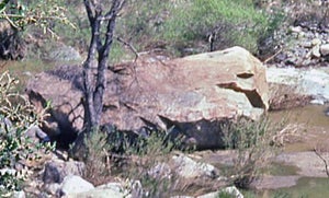 San Diego's Mission Gorge Pink Boulder - Climbing