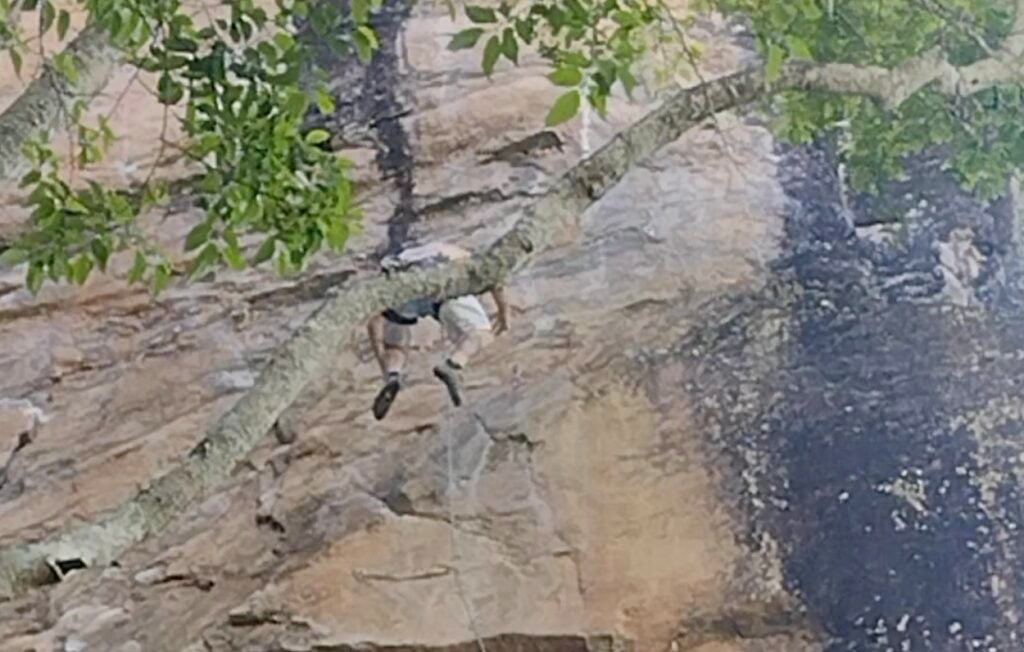 Weekend Whipper: Climber Collides with Tree - Climbing