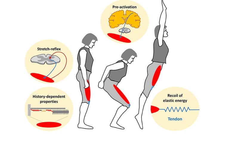 How Climbers Should Train for Dynamic Movement - Climbing