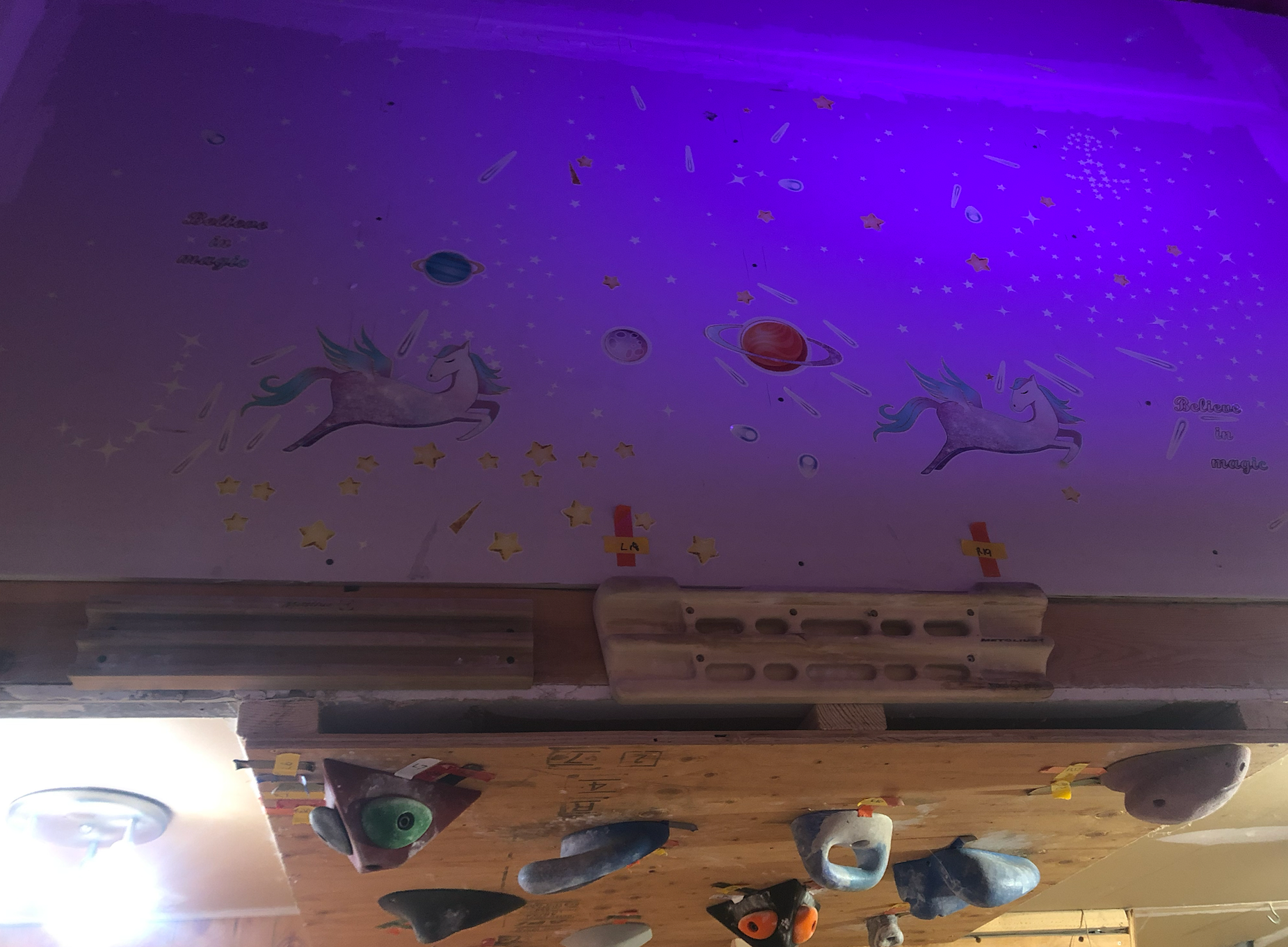 How to Turn Your Backyard or Garage into Your Dream Dojo