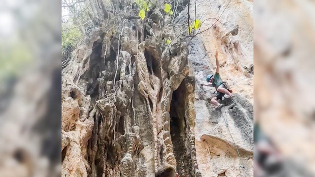 Serious Climbing Accident Is Prevented By Helmet - Climbing