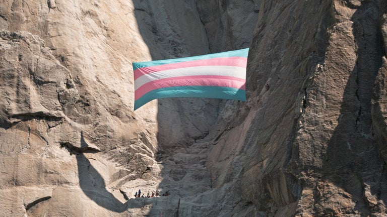 “I Want My Job Back”: Yosemite Biologist Fired for Displaying Trans ...